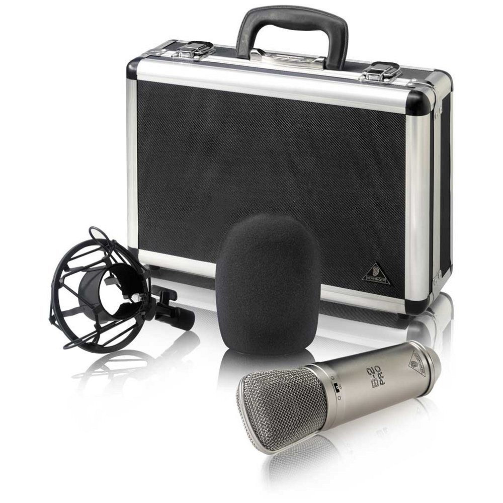 B-2 Professional Large Dual-Diaphragm Studio Condenser Microphone ...