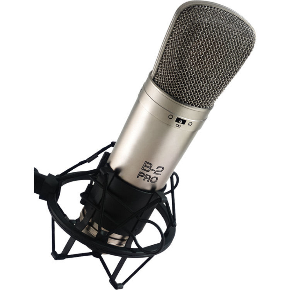 B-2 Professional Large Dual-Diaphragm Studio Condenser Microphone ...
