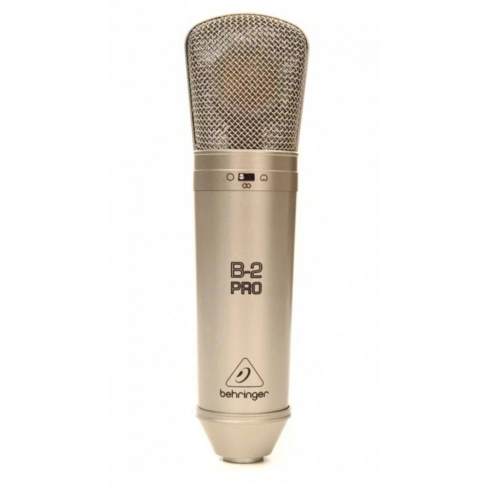 B-2 Professional Large Dual-Diaphragm Studio Condenser Microphone ...